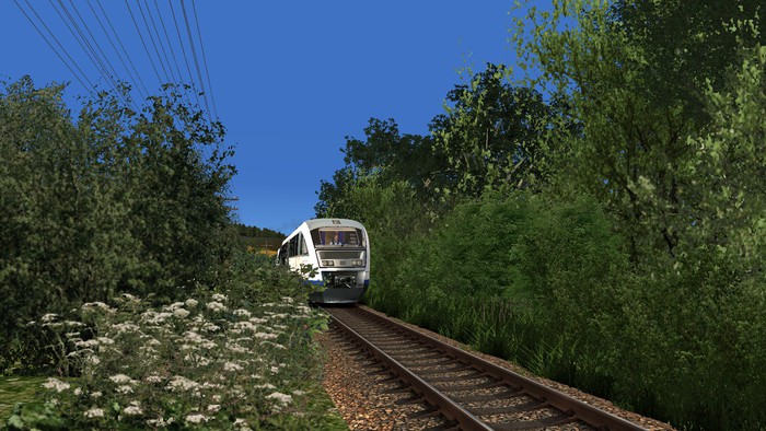 Despre noi :: Railworks Romania